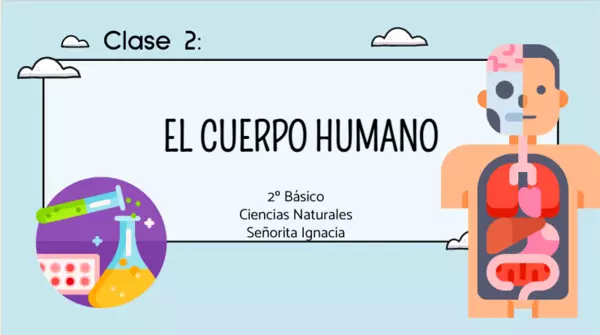 Cuerpo Humano para Segundo Básico: Clase 2 | profe.social